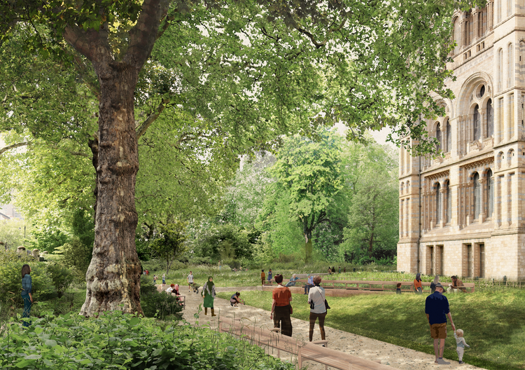 Garden transformation for London's Natural History Museum — LANDSCAPE ...