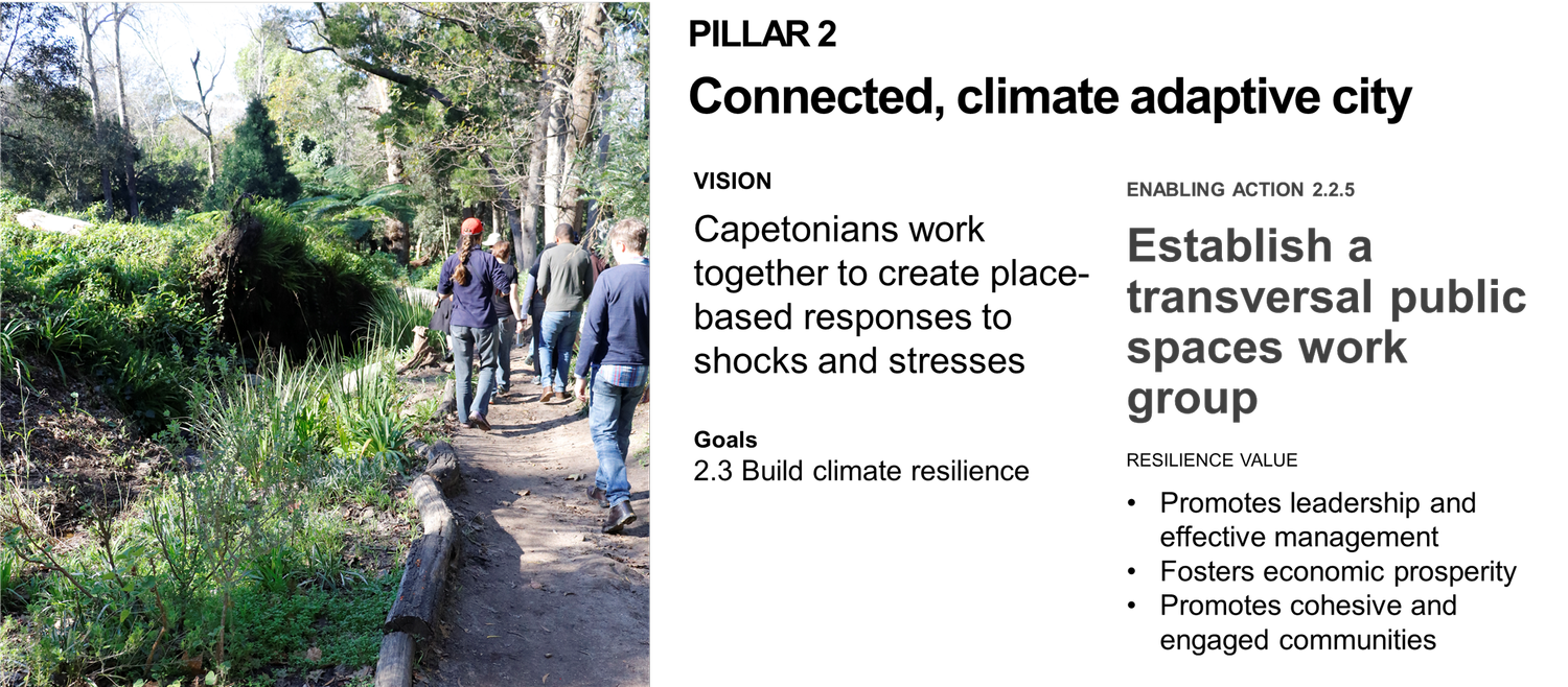 What role do urban forests play in building resilience in a treeless ...