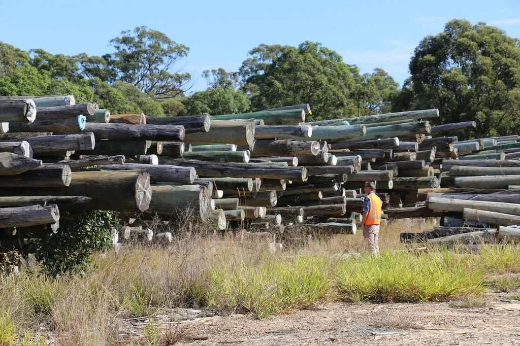 LANDSCAPE ARCHITECTURE AOTEAROA