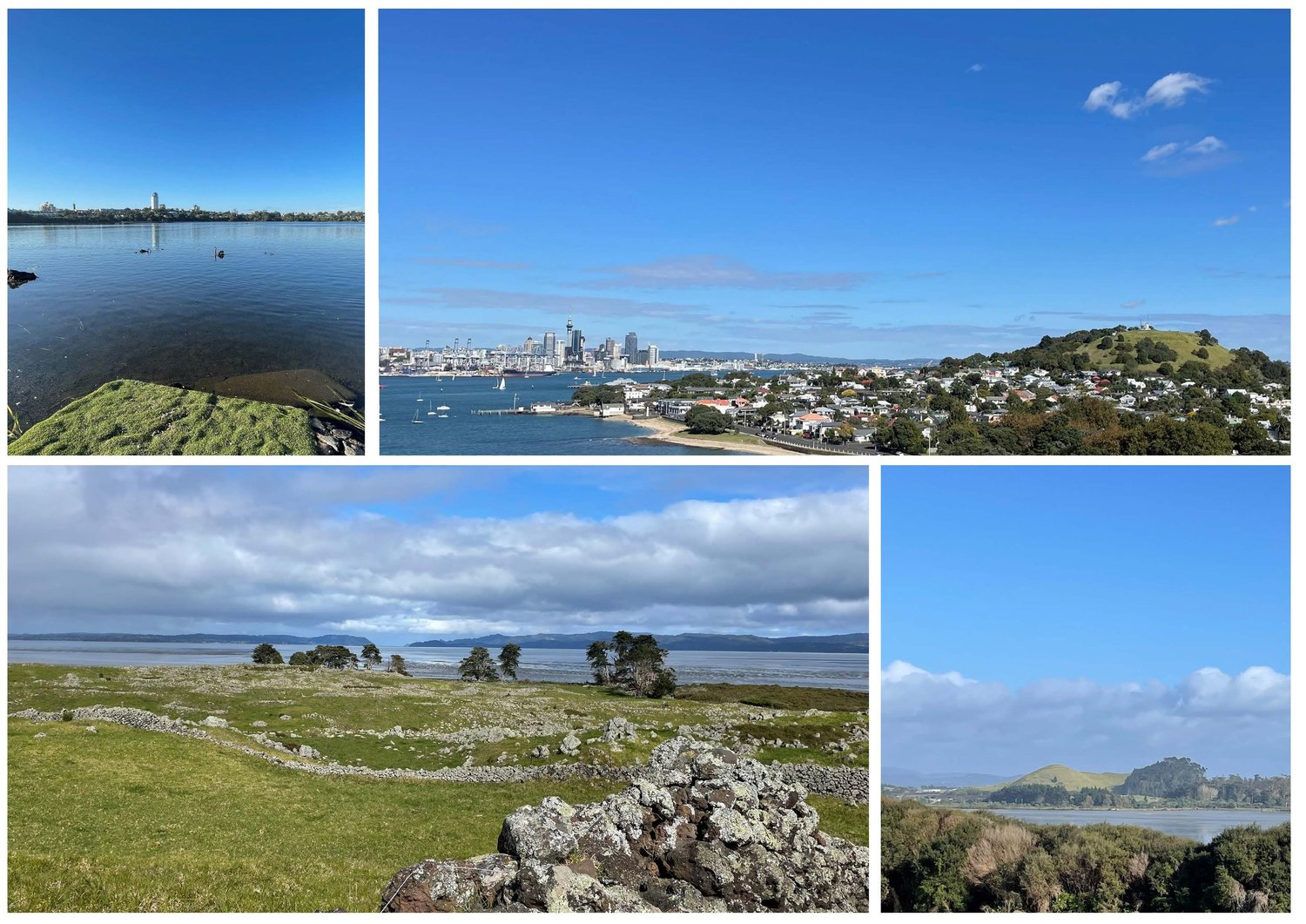The Volcanoes of Tāmaki Makaurau — LANDSCAPE ARCHITECTURE AOTEAROA