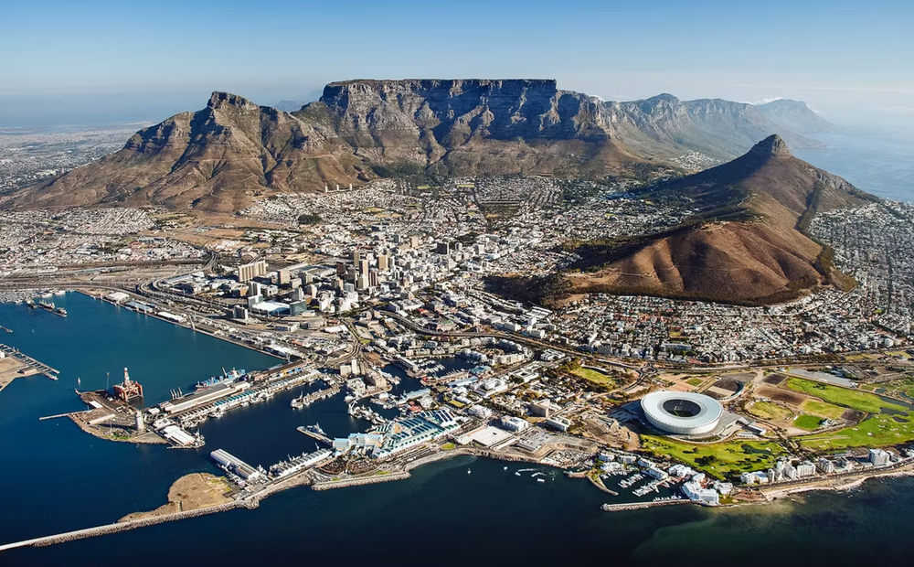 What role do urban forests play in building resilience in a treeless ...