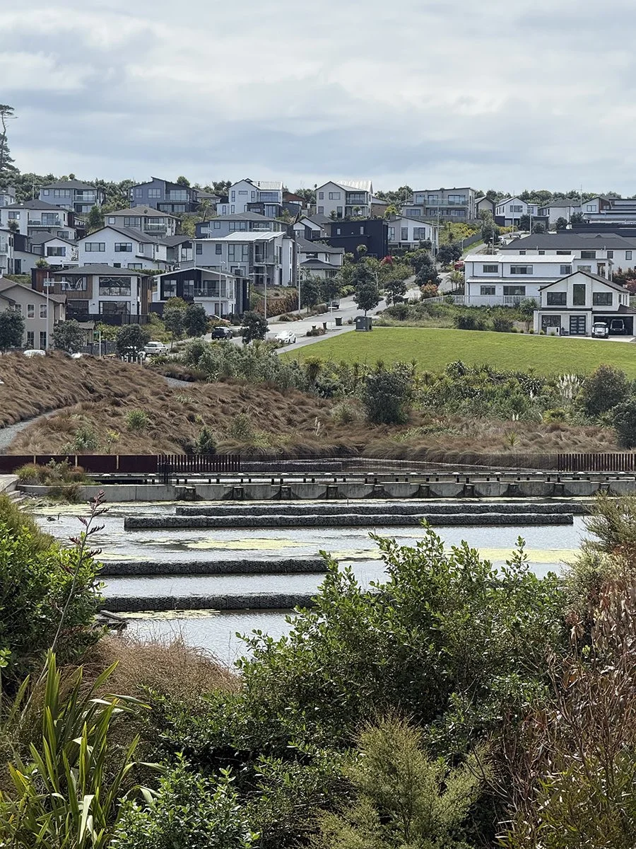 Soaking up the sites on the Sponge Project Tour — LANDSCAPE ...