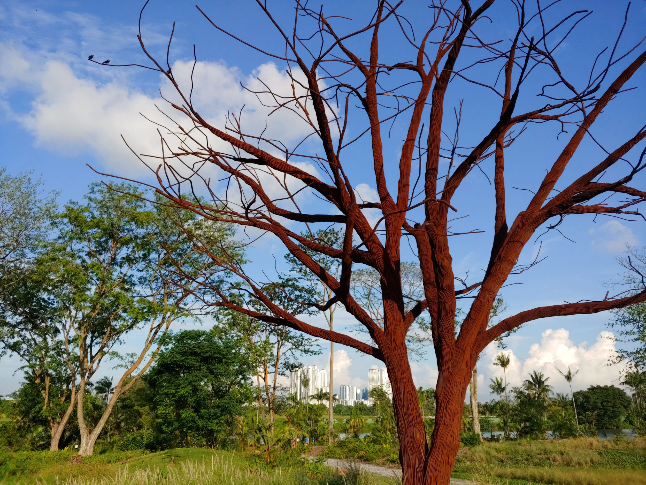 Lincoln University Alumnus Receives Singapore’s highest design accolade ...