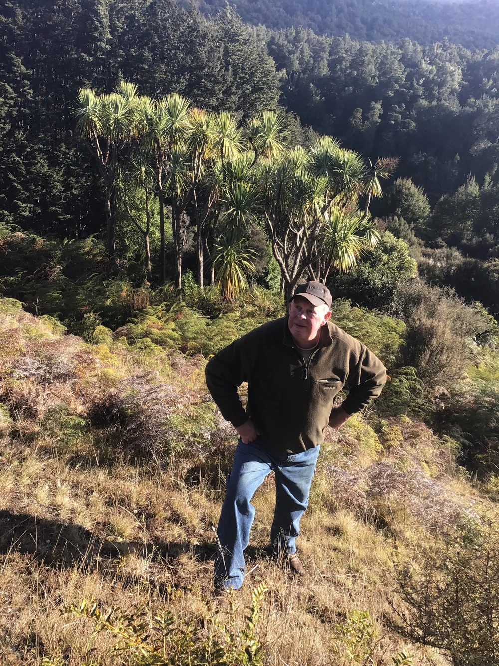 NZILA 50th: Alan Petrie remembers — LANDSCAPE ARCHITECTURE AOTEAROA