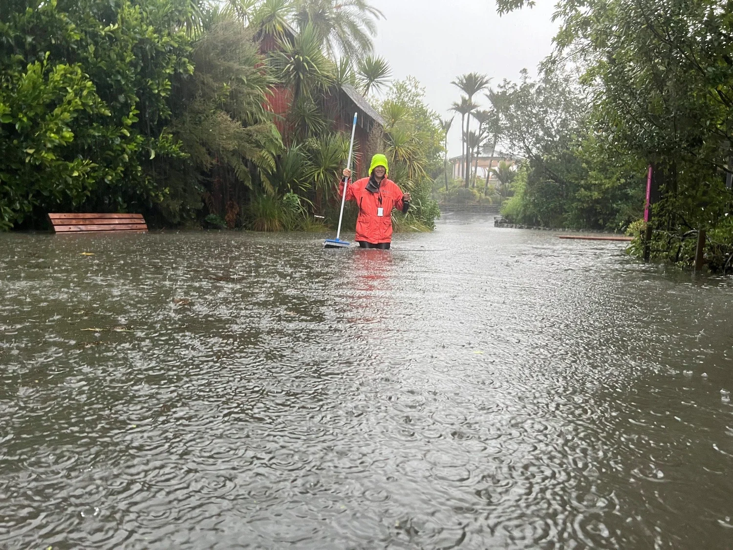 Flood Emergency: NZILA response — LANDSCAPE ARCHITECTURE AOTEAROA