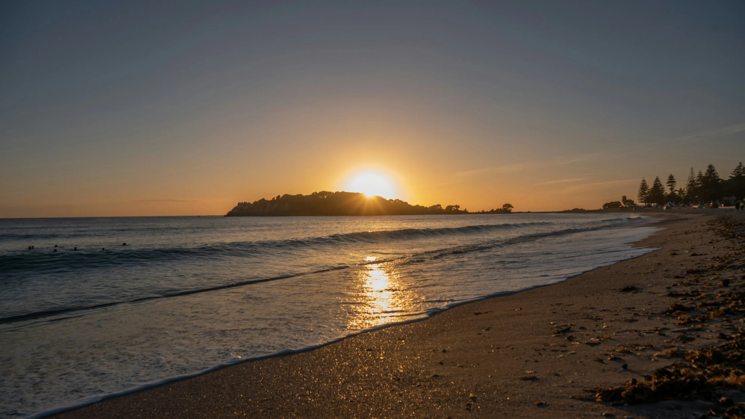 A way forward: land use change in Aotearoa — LANDSCAPE ARCHITECTURE ...