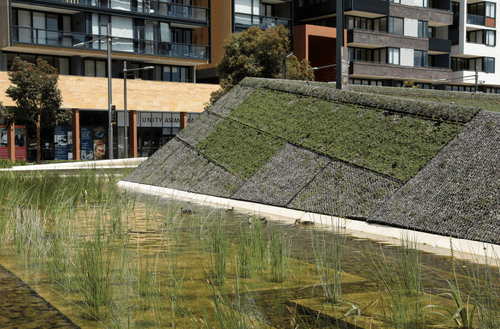 The Drying Green in Sydney is completed — LANDSCAPE ARCHITECTURE AOTEAROA
