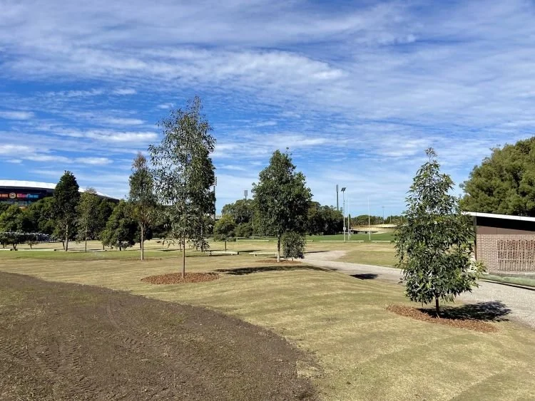 Rejuvenation of Moore Park East — LANDSCAPE ARCHITECTURE AOTEAROA