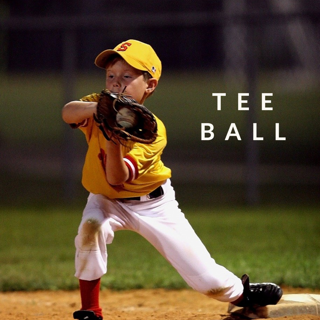 Teeball — Williamsport Area Little League