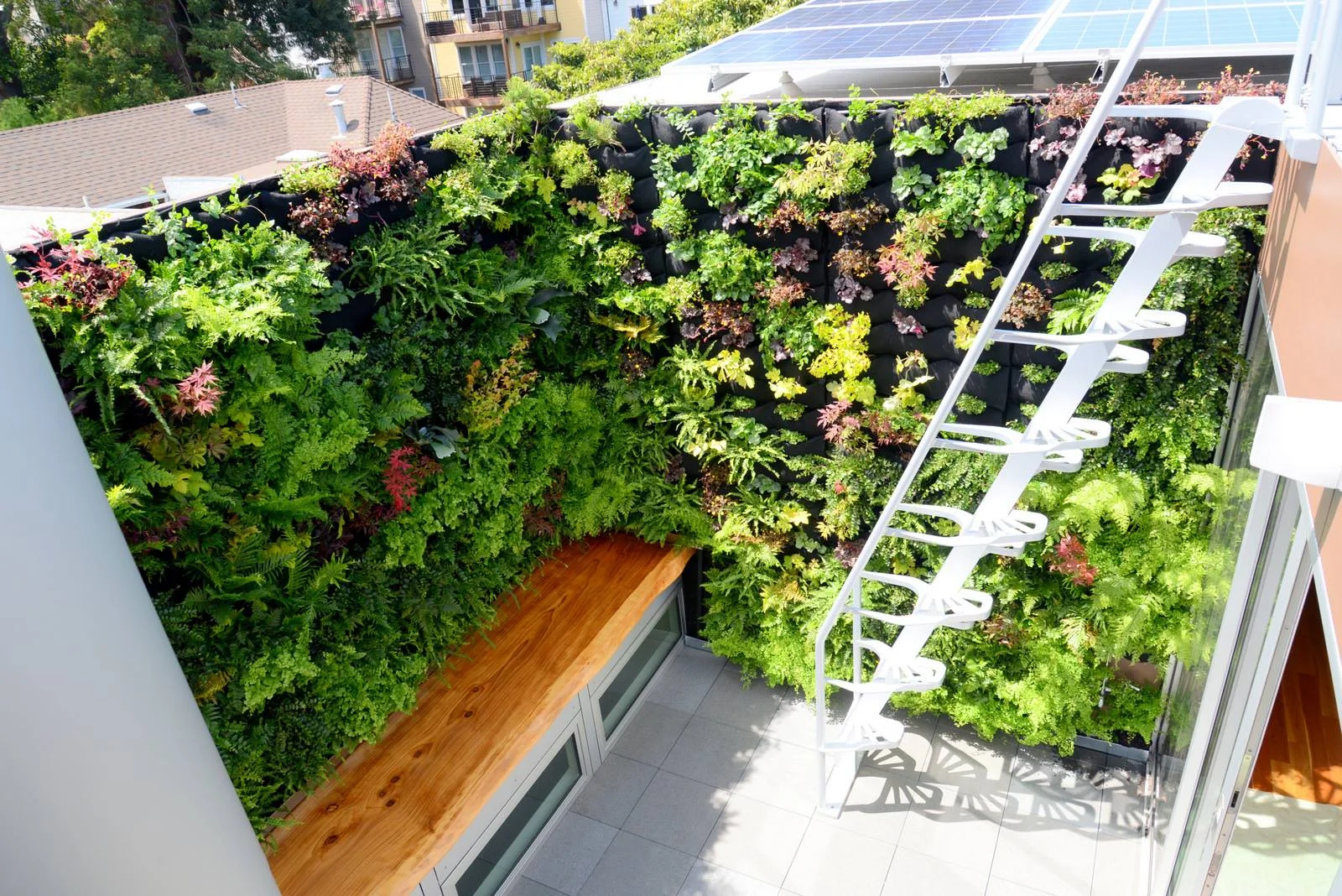 Vertical Gardens — Living Green Design