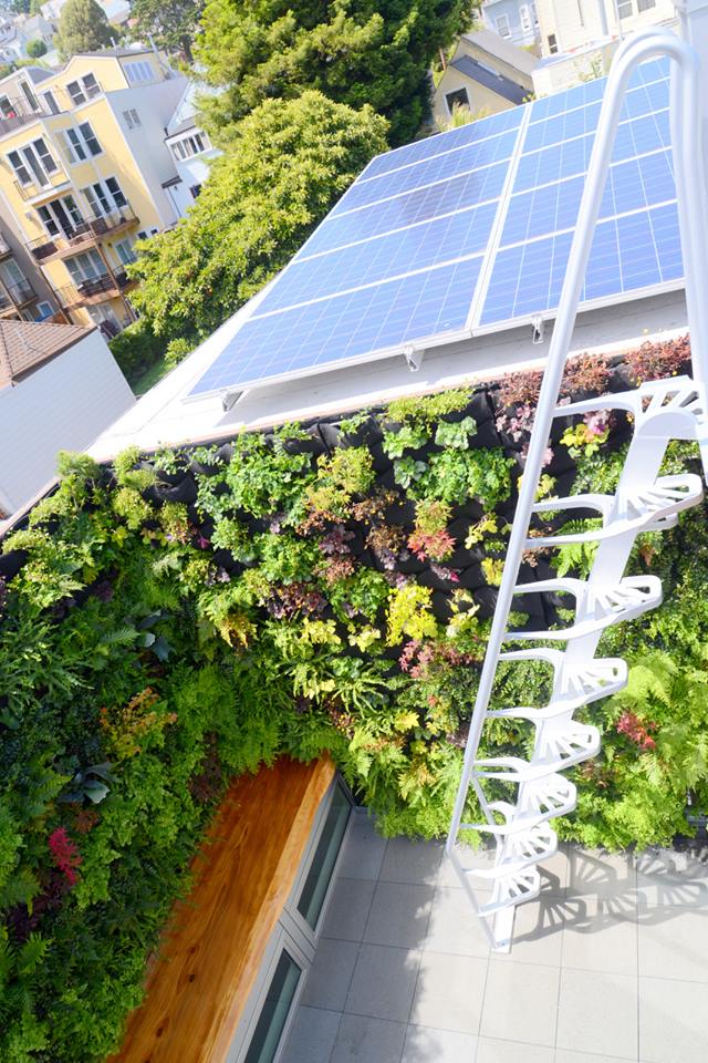 Vertical Gardens — Living Green Design