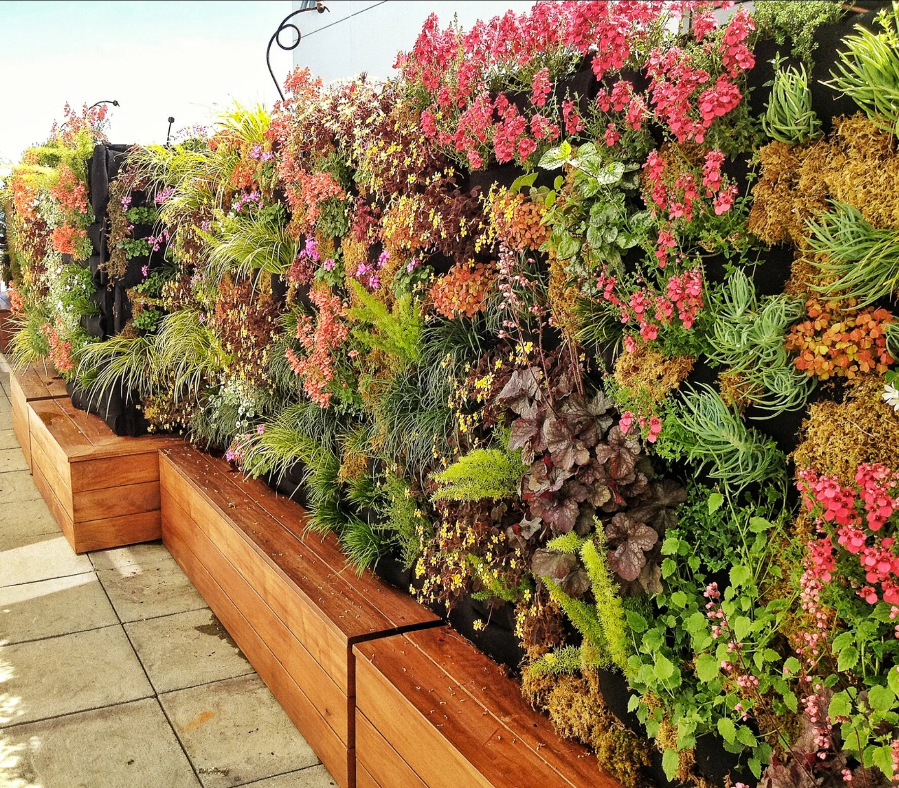 Lookbook — Living Green Design