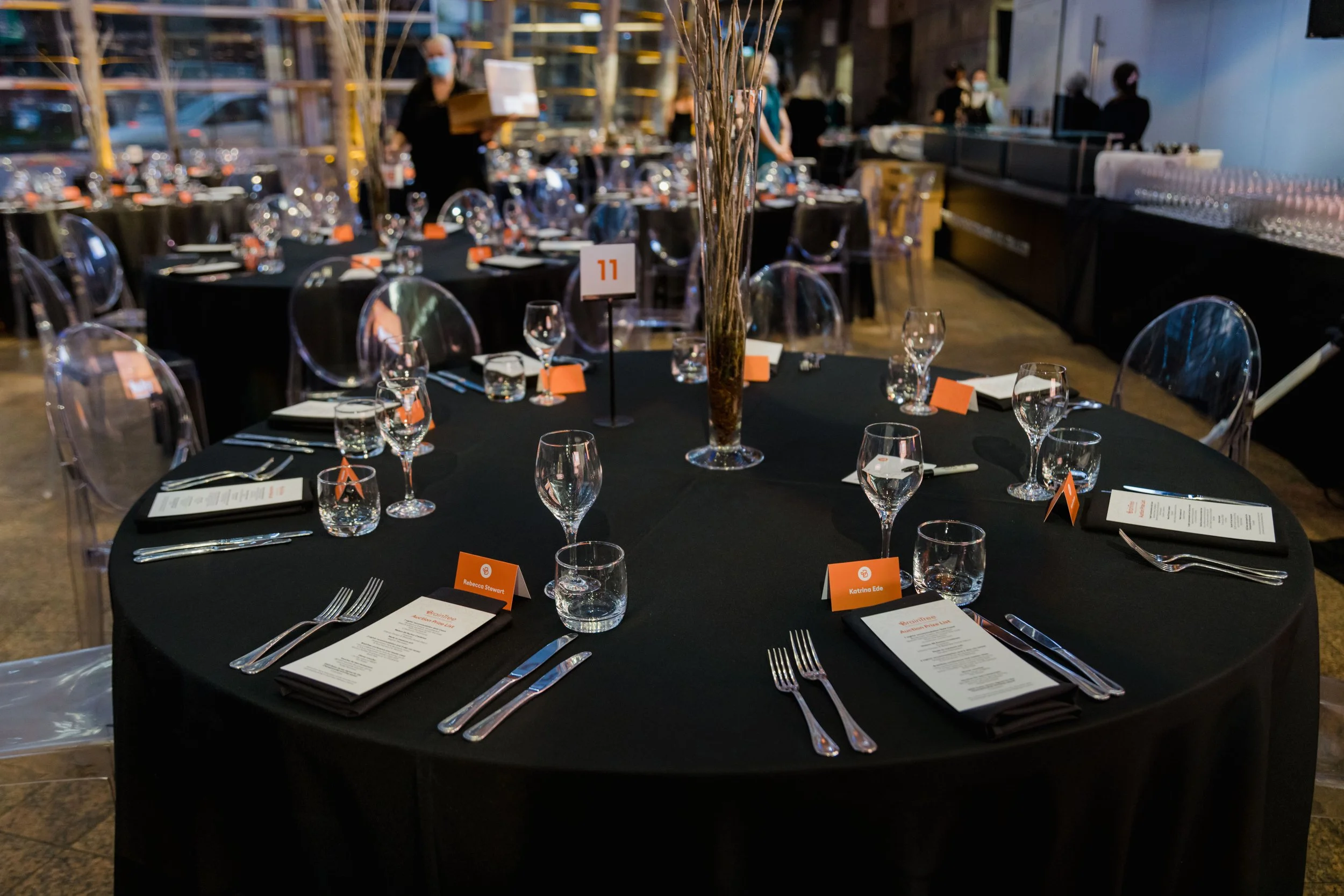 The BrainTree Ball — BrainTree Wellness Centre