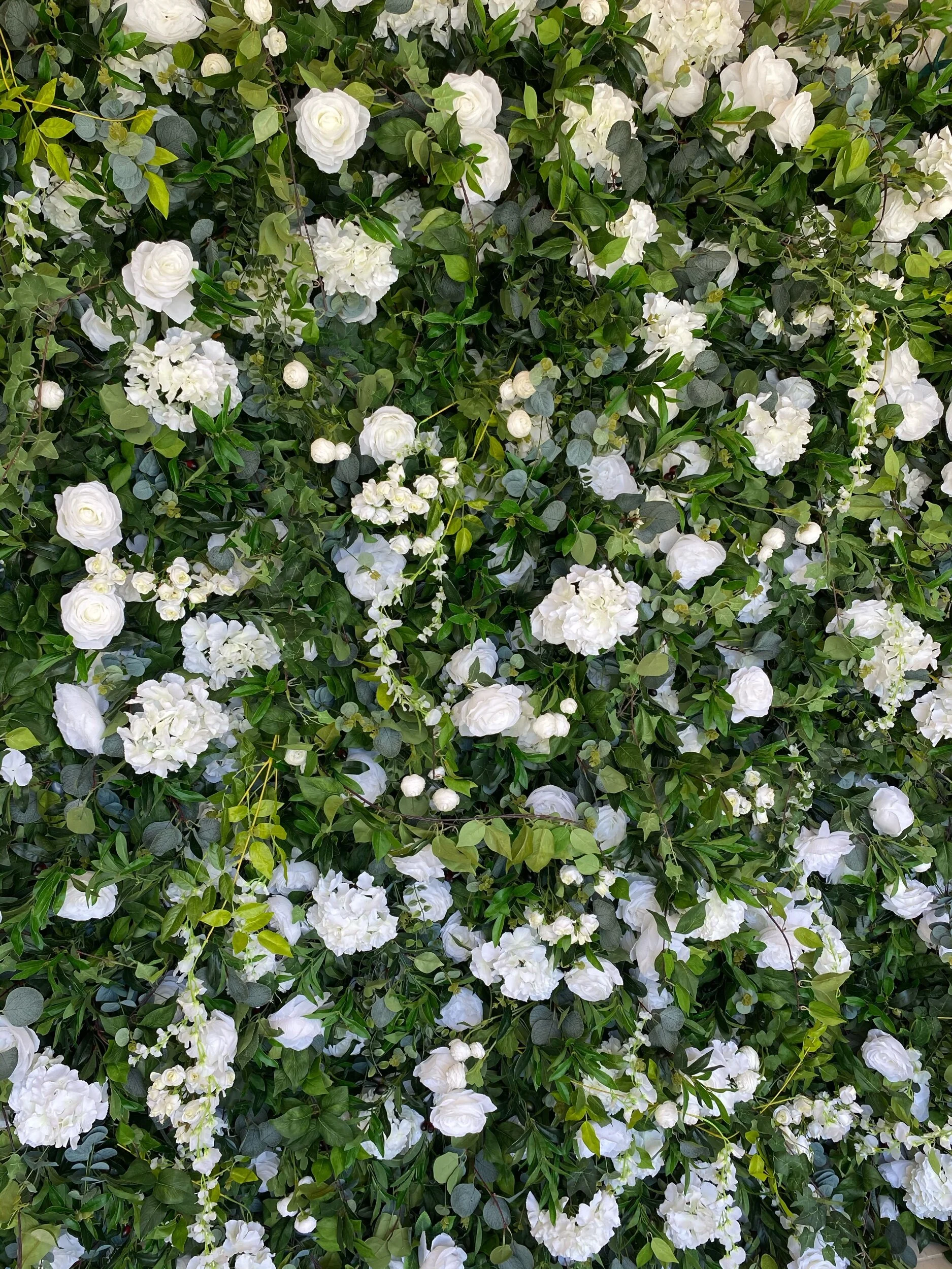 Royal premium — Gold Coast Flower Walls