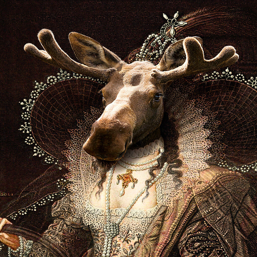 Moose Coffee