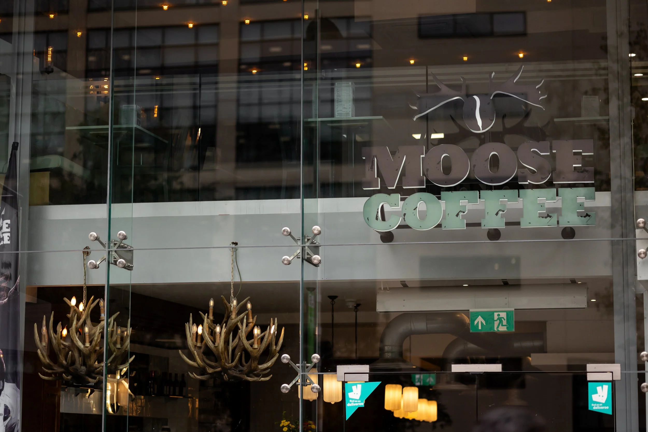 Catering — Moose Coffee