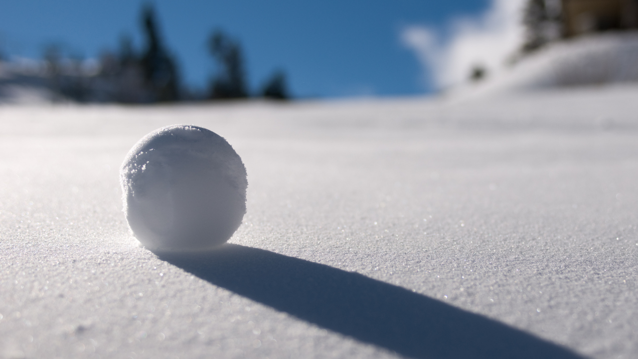 The Snowball Effect — McMillion Consulting