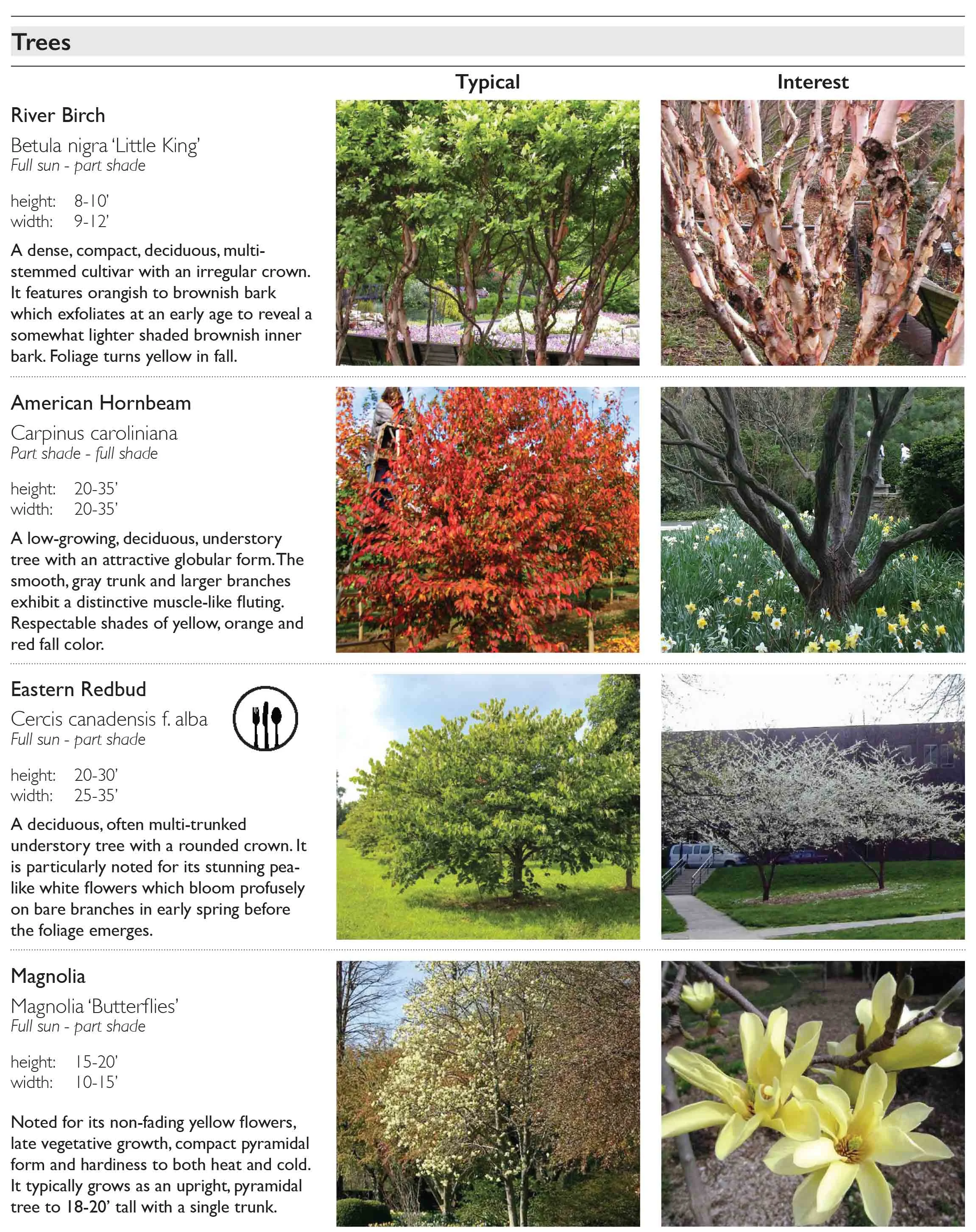 St. Gabriel Playpark — Booker Design Collaborative