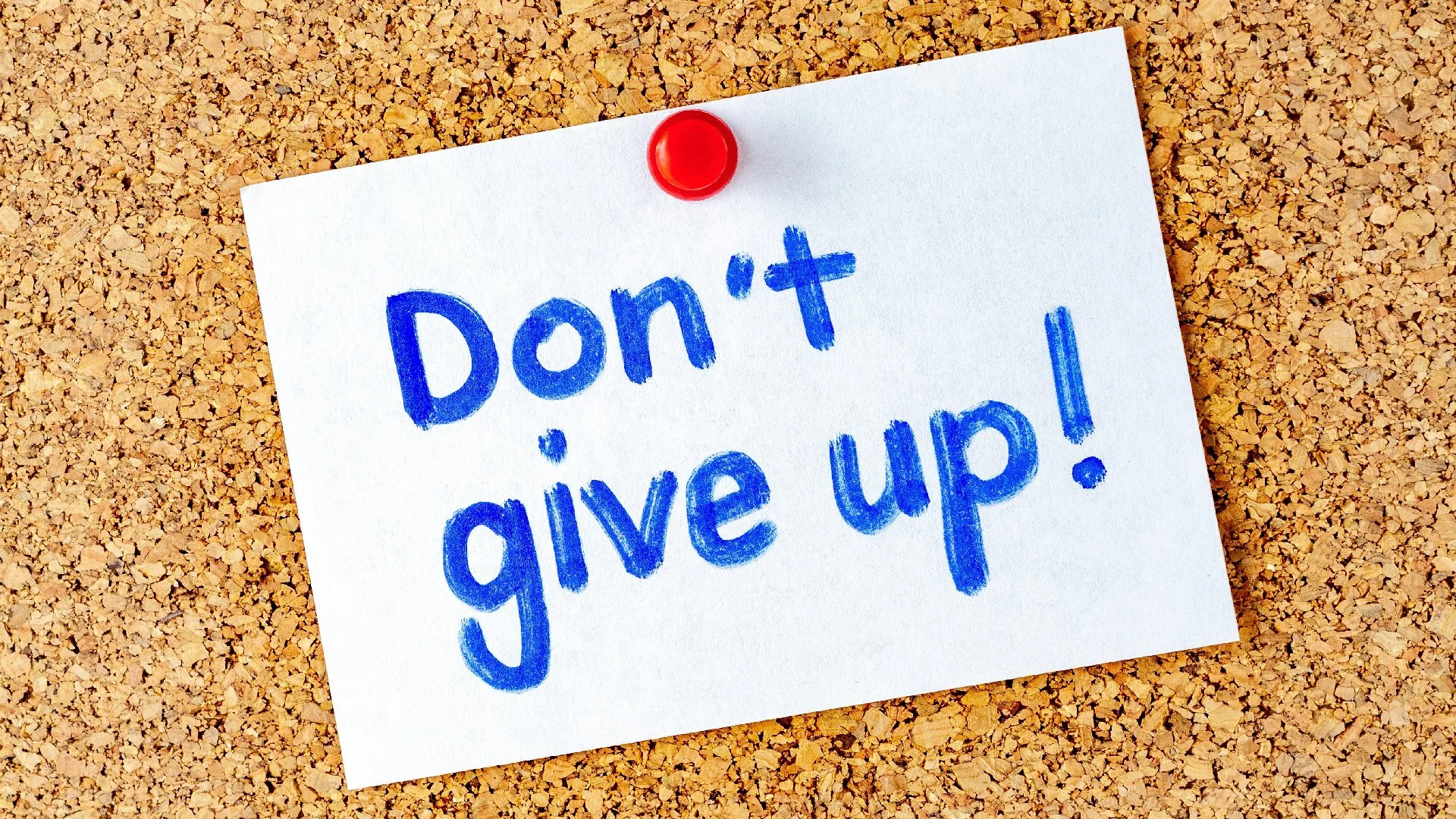 Don’t Give Up… — W. Clay Smith