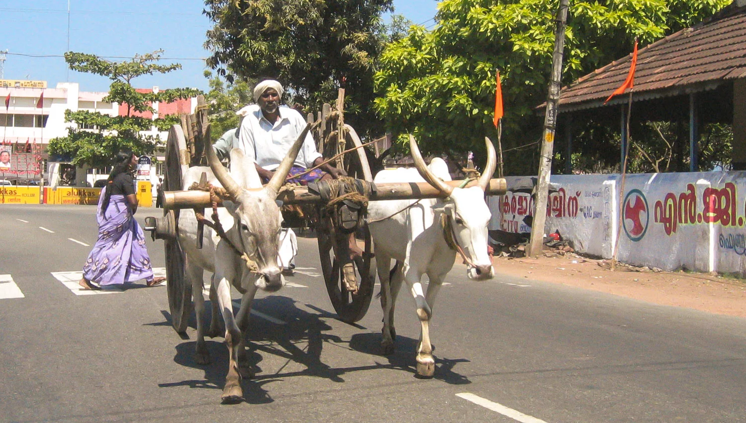 The Asian Bullock Cart, Still Rolling Along — xyzAsia