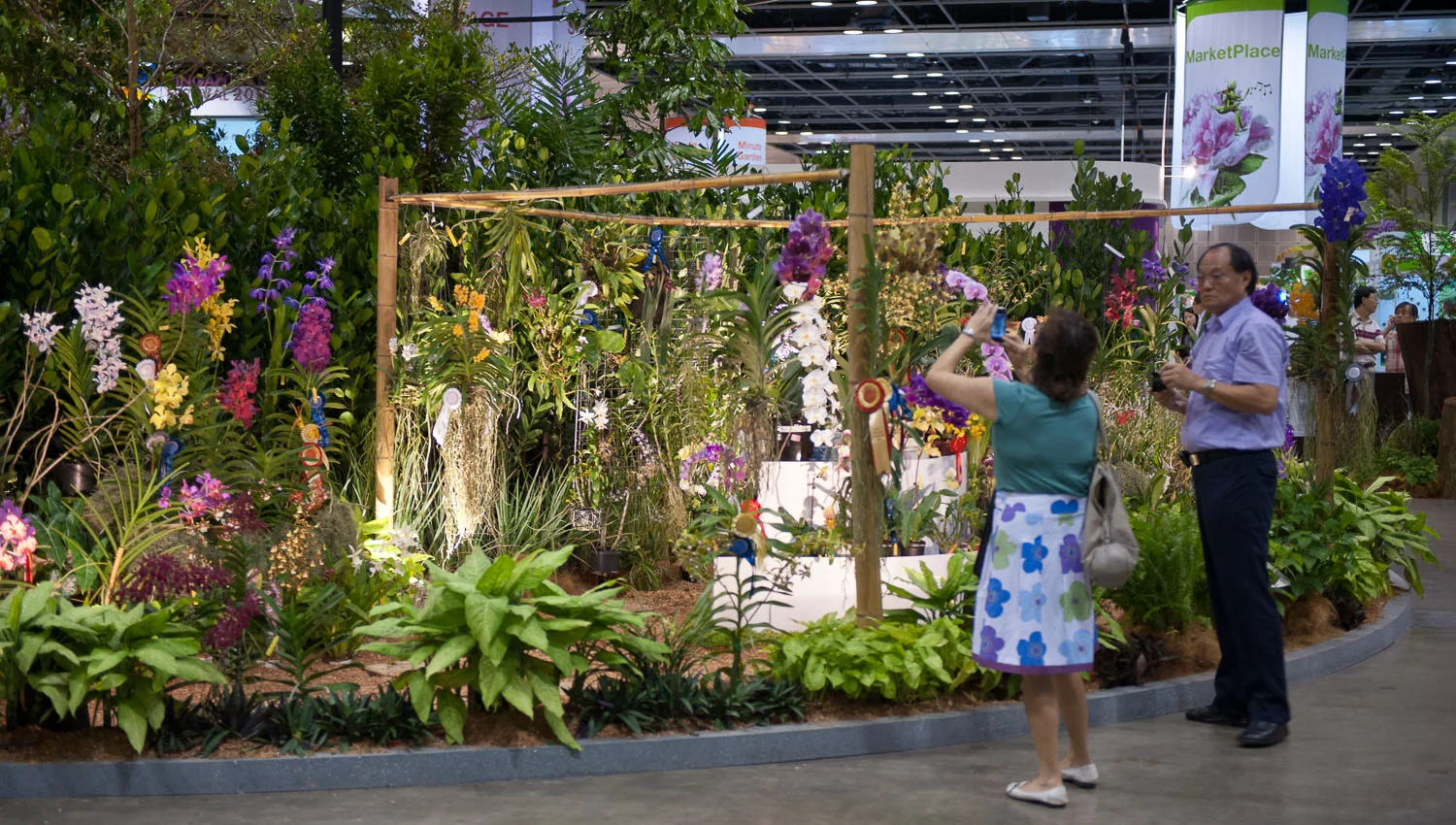 Singapore: Home to Asia’s Best Orchid Gardens — xyzAsia