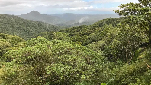 The Marilaque Highway: Best Scenic Drive Near Manila — xyzAsia