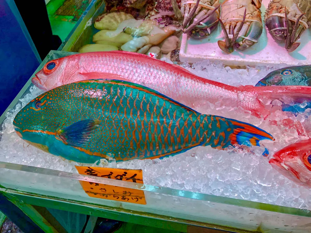 The Okinawa Islands: A Different Japan — xyzAsia