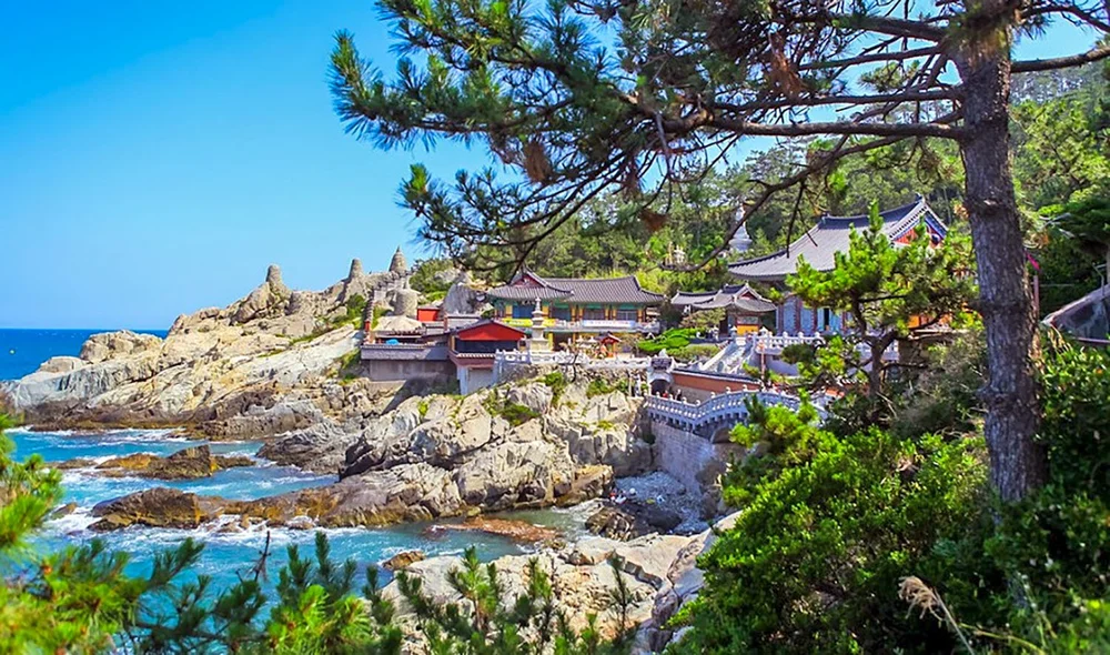 Bountiful Busan: South Korea’s Hidden Gem — xyzAsia