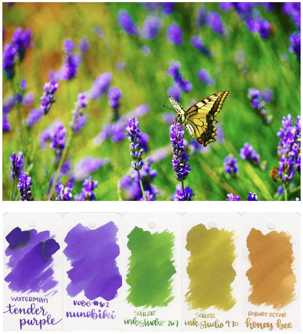 May Butterflies Ink Palettes — Mountain of Ink
