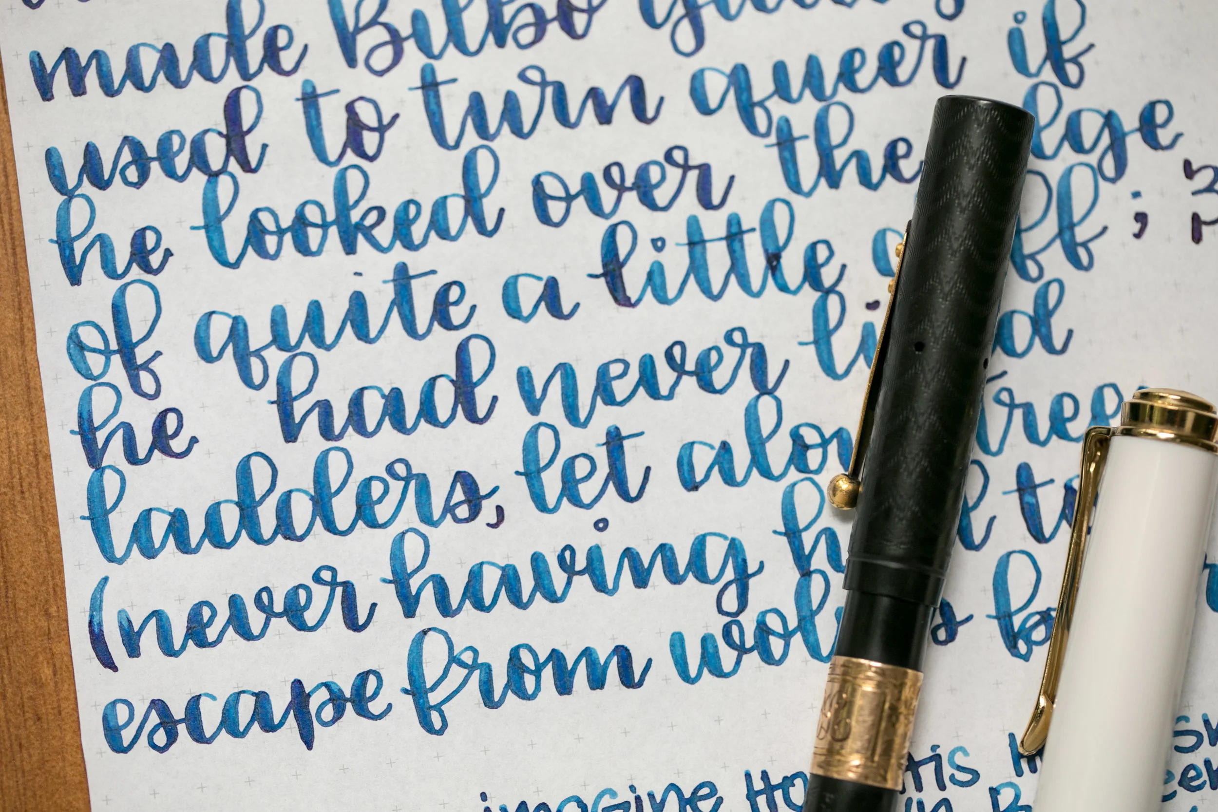 Ink Review #268: Sailor Sei-boku — Mountain of Ink
