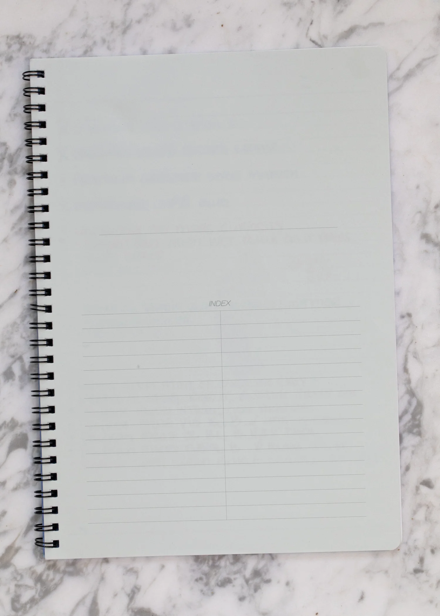 Apica CD Notebook Review — Mountain of Ink
