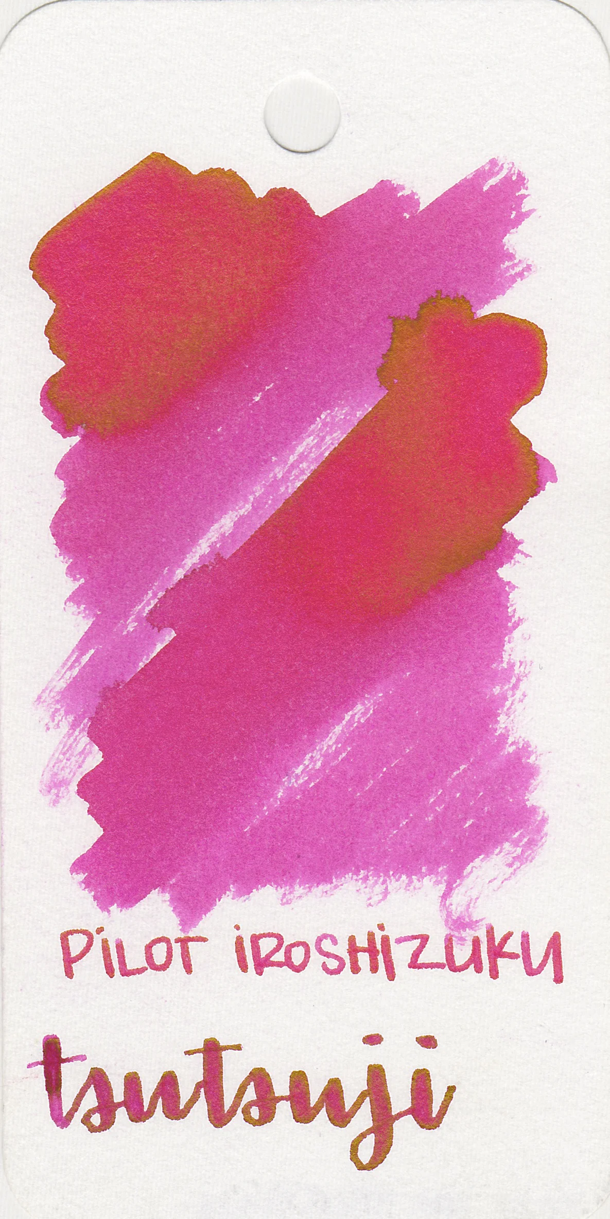 Ink Review #487: Pilot Iroshizuku Tsutsuji — Mountain of Ink