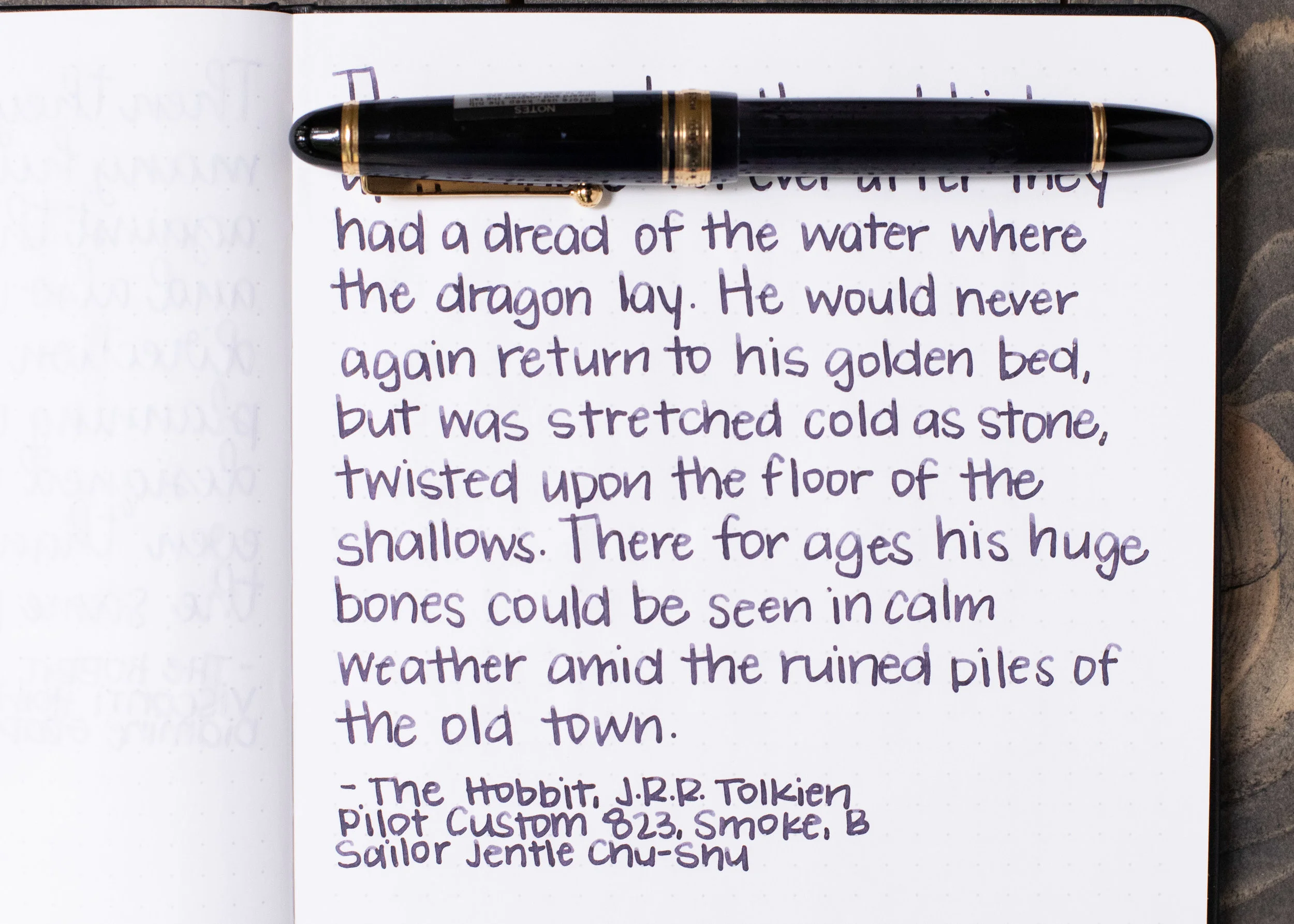Ink Review #808: Sailor Jentle Chu-shu — Mountain of Ink
