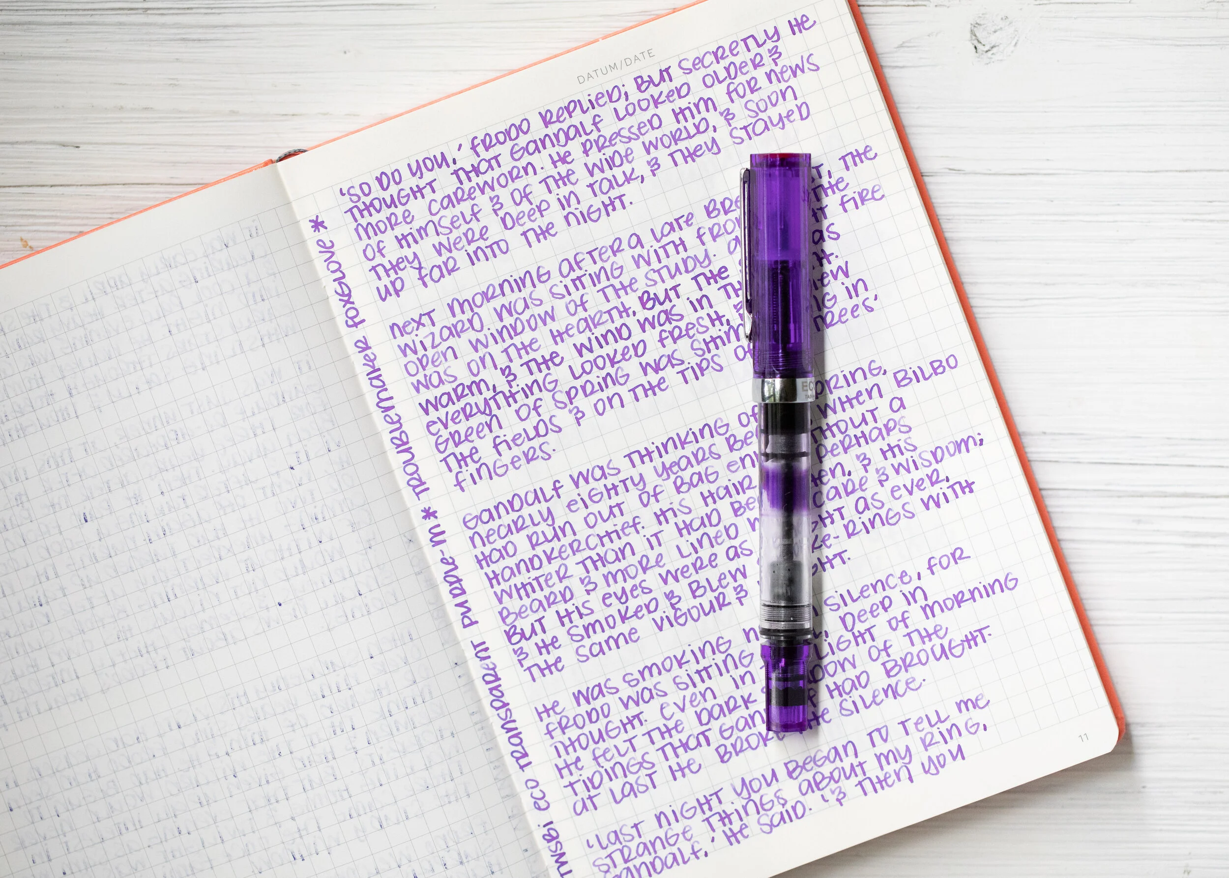 Ink Review #1085: Troublemaker Foxglove — Mountain of Ink