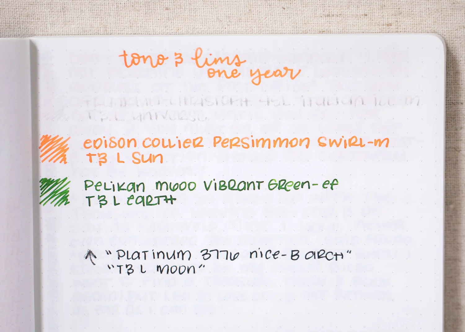 Tono & Lims 1 Year Anniversary Inks — Mountain of Ink