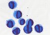 Ink Review #1257: Diamine Washable Blue — Mountain of Ink