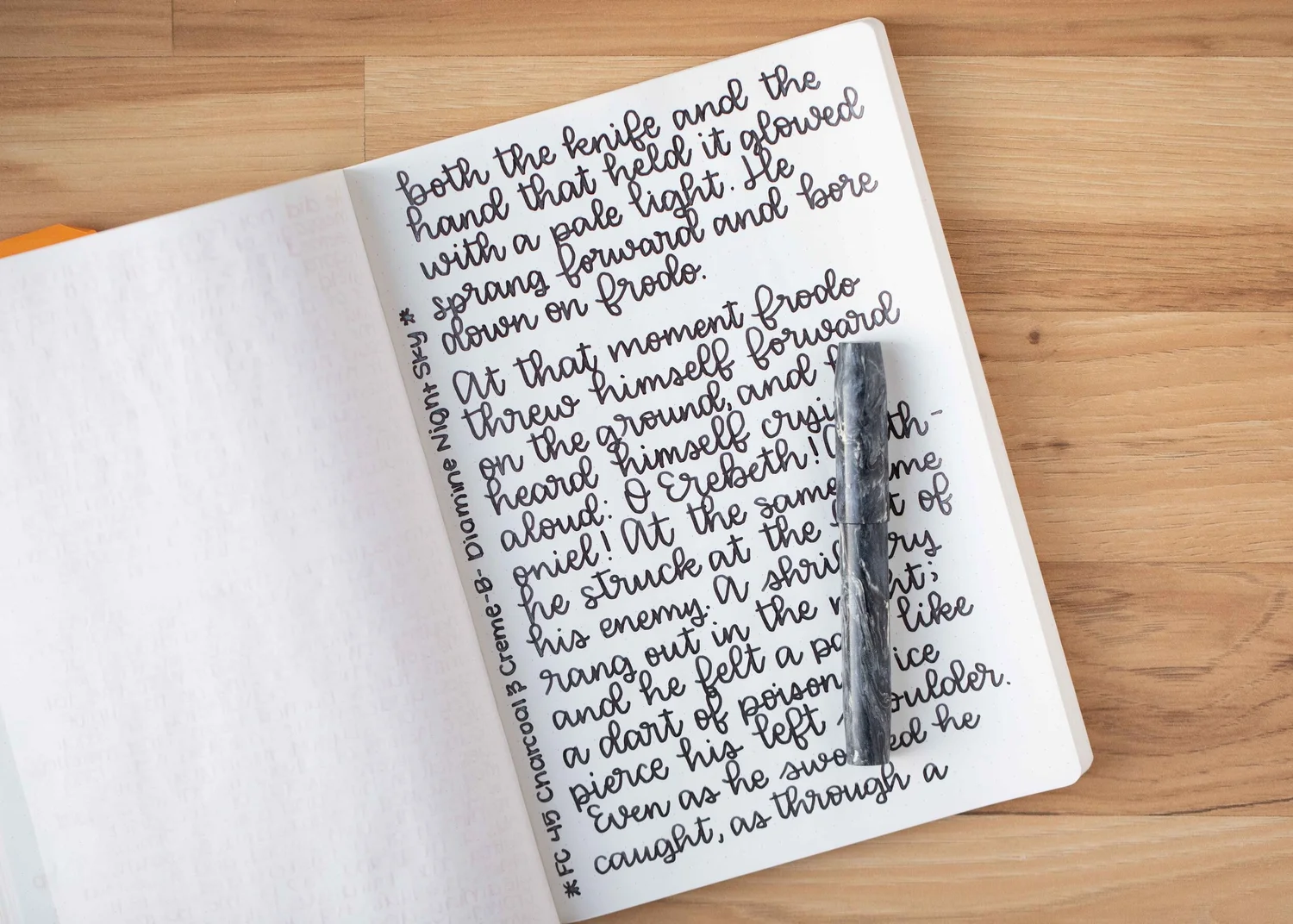 Ink Review #1300: Diamine Night Sky — Mountain of Ink