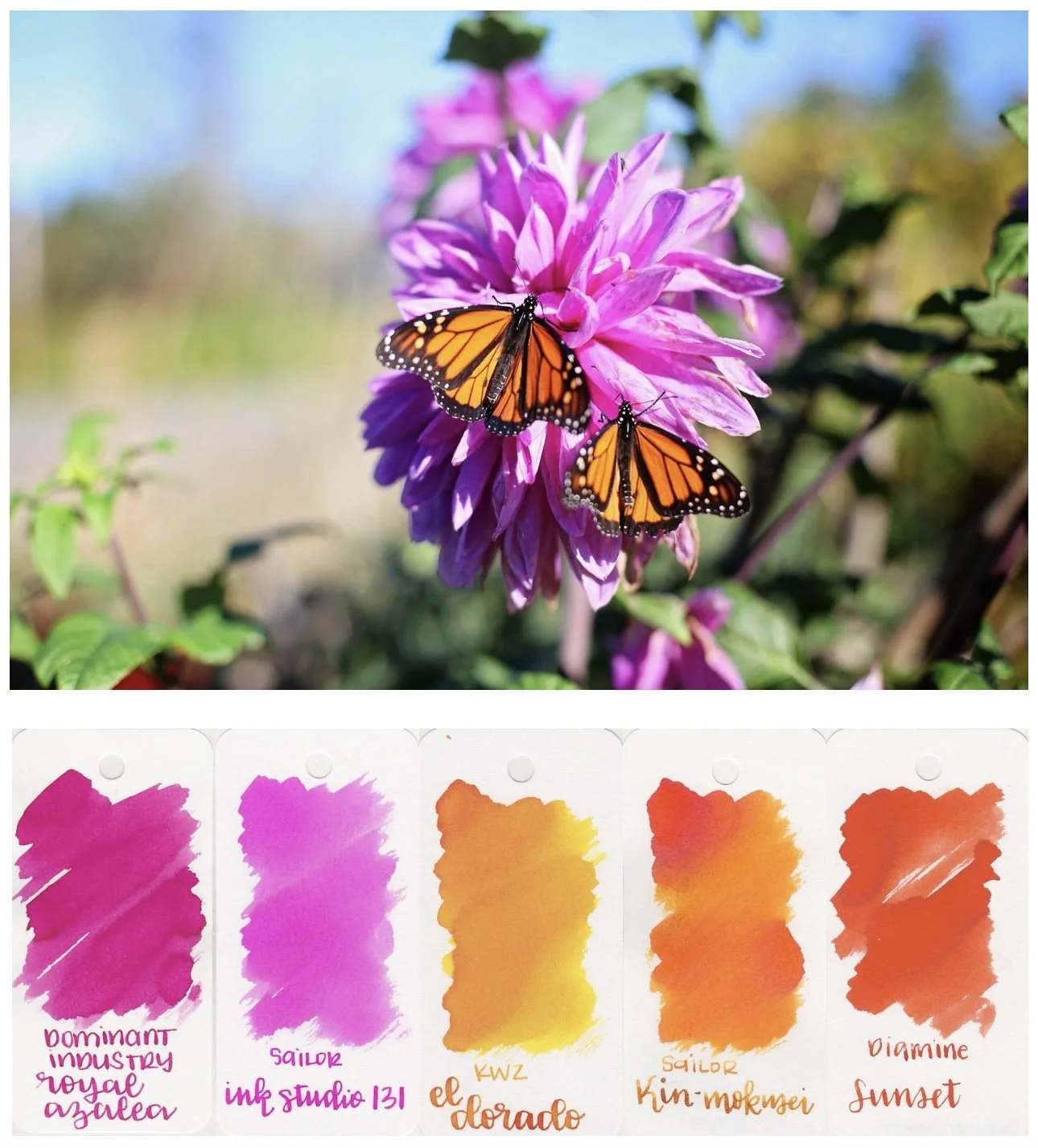 May Butterflies Ink Palettes — Mountain of Ink