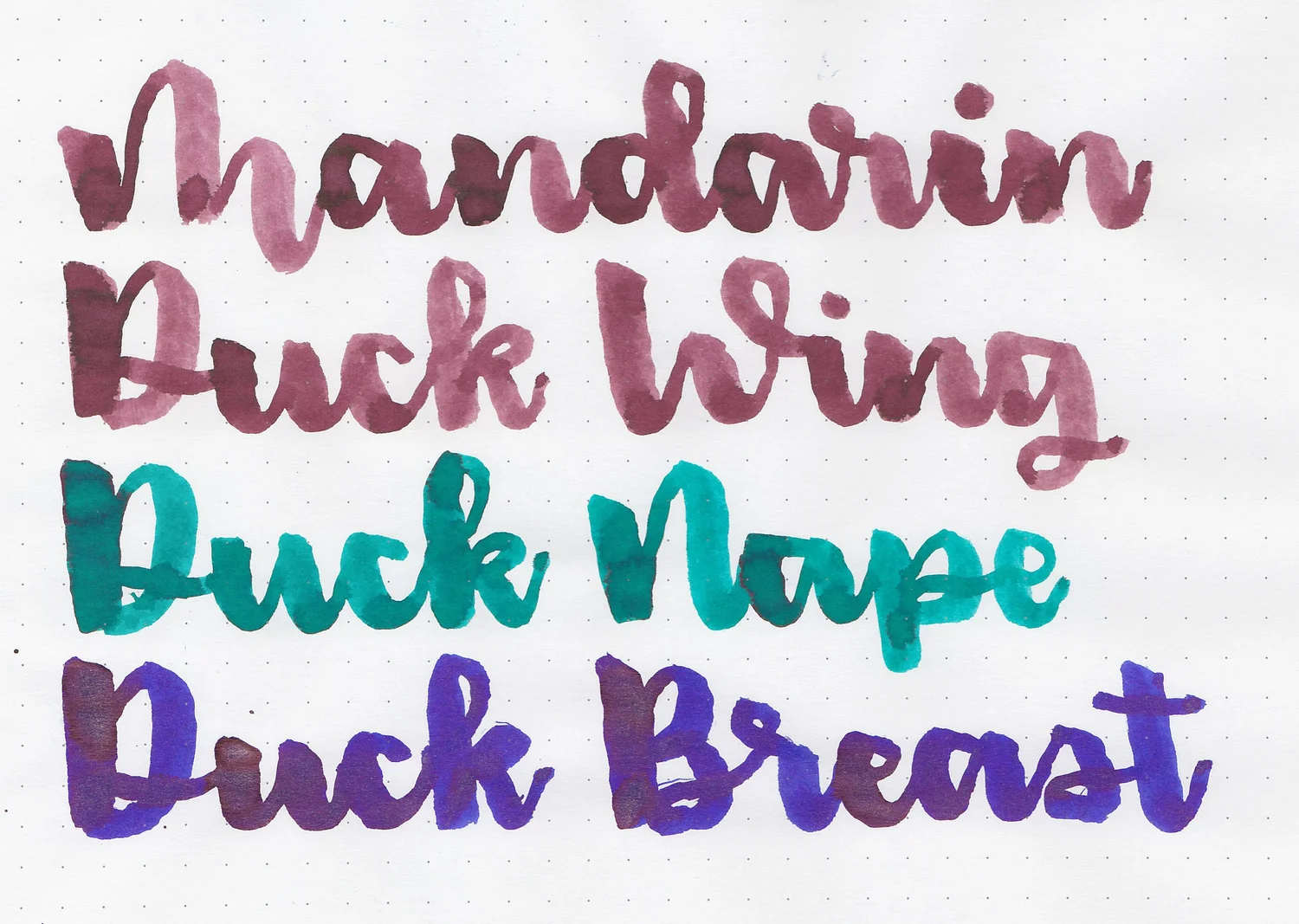 Van Dieman's Mandarin Duck — Mountain of Ink