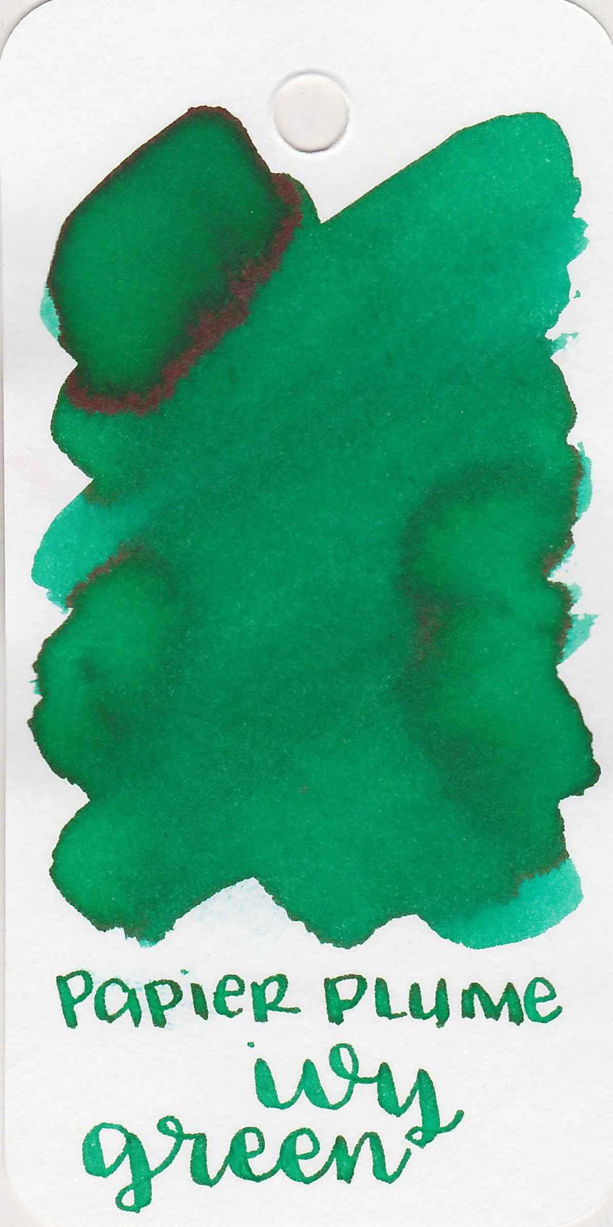 Ink Review #2530: Papier Plume Ivy Green — Mountain of Ink