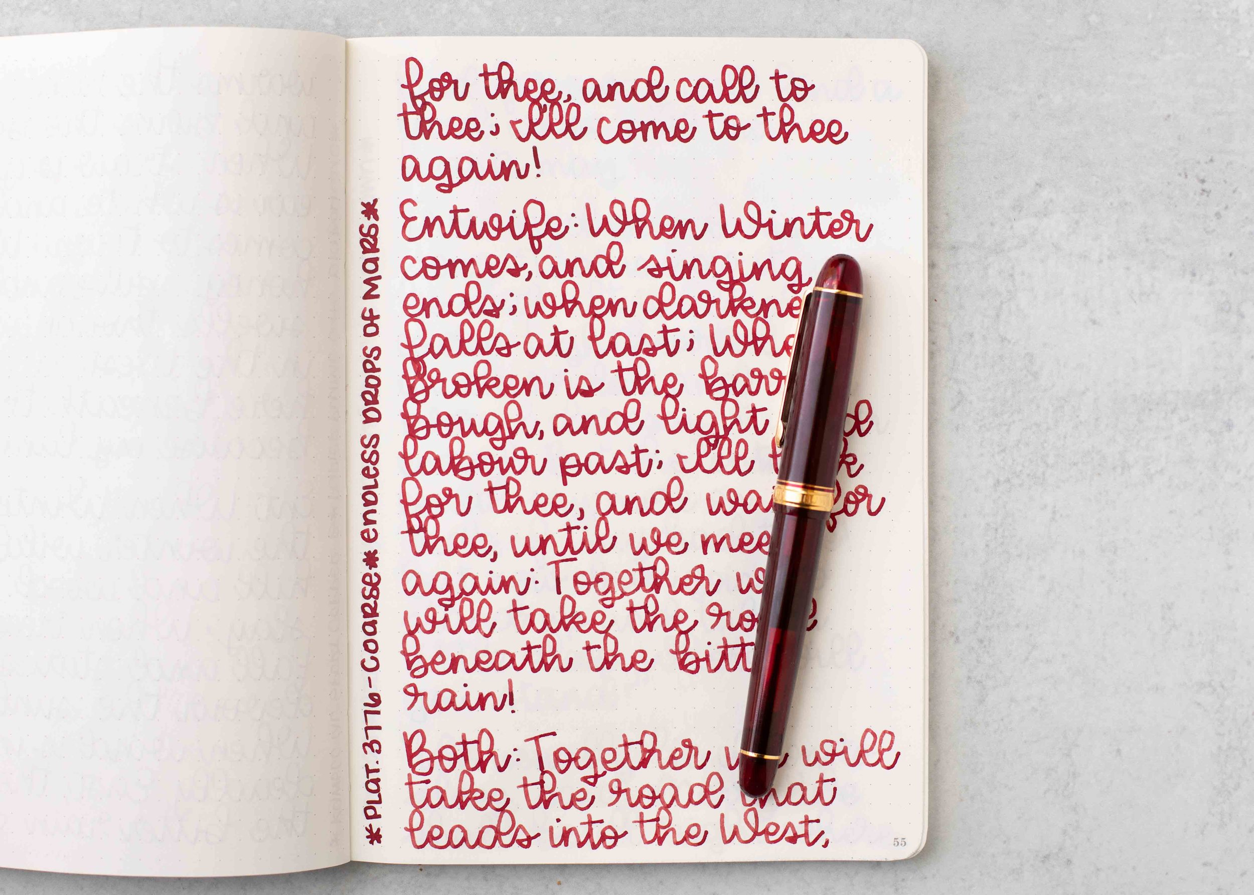 Ink Review #2885: Endless Drops of Mars — Mountain of Ink