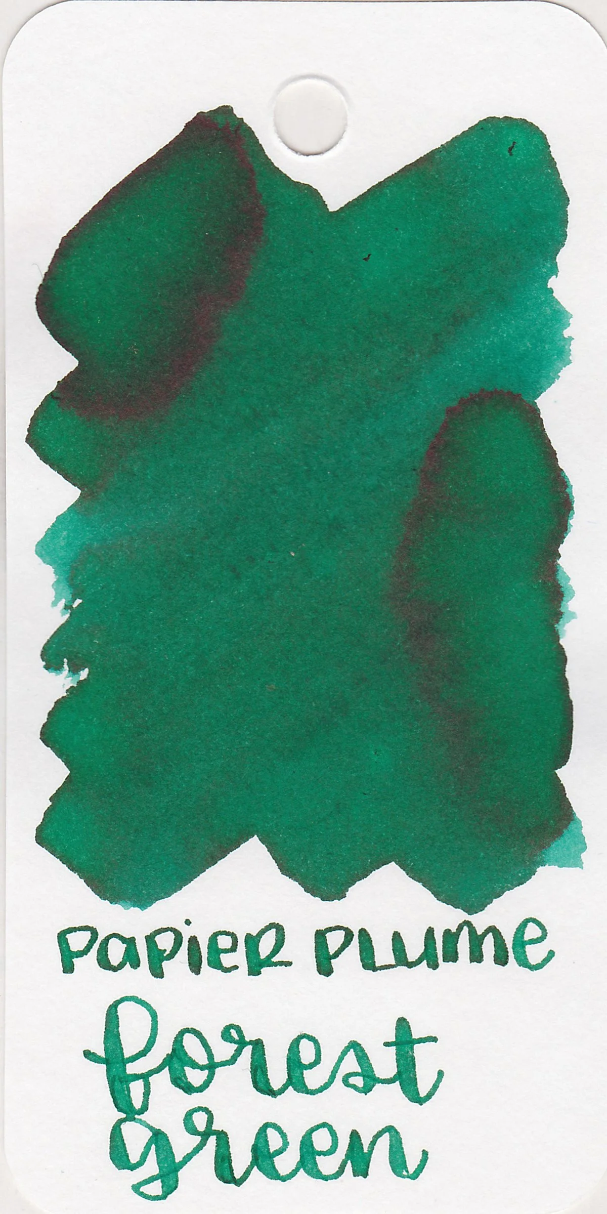Ink Review #2529: Papier Plume Forest Green — Mountain of Ink