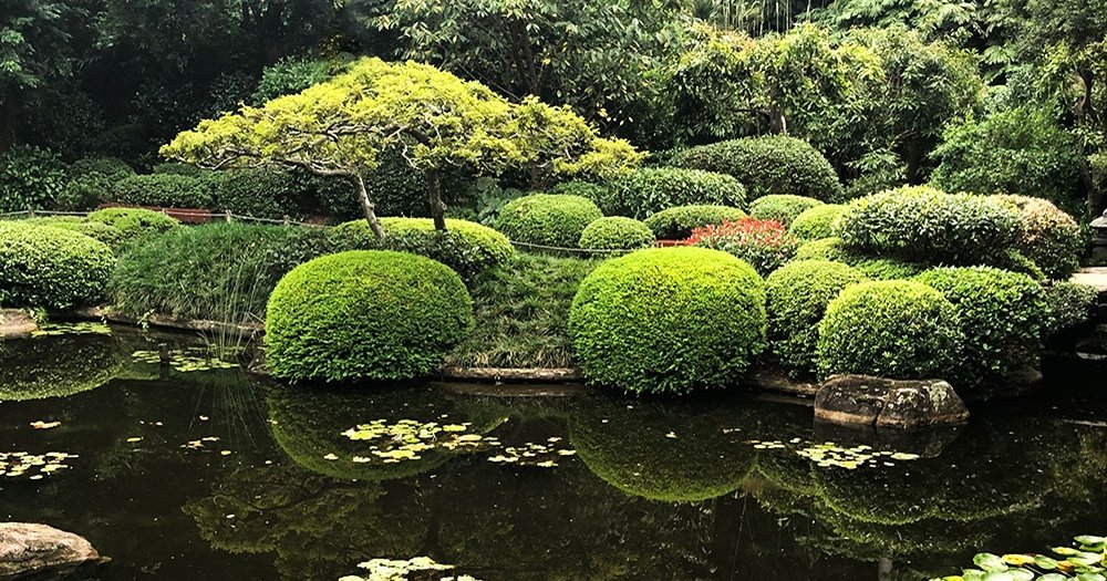 Bands in the Park — New Groove Jazz Ensemble