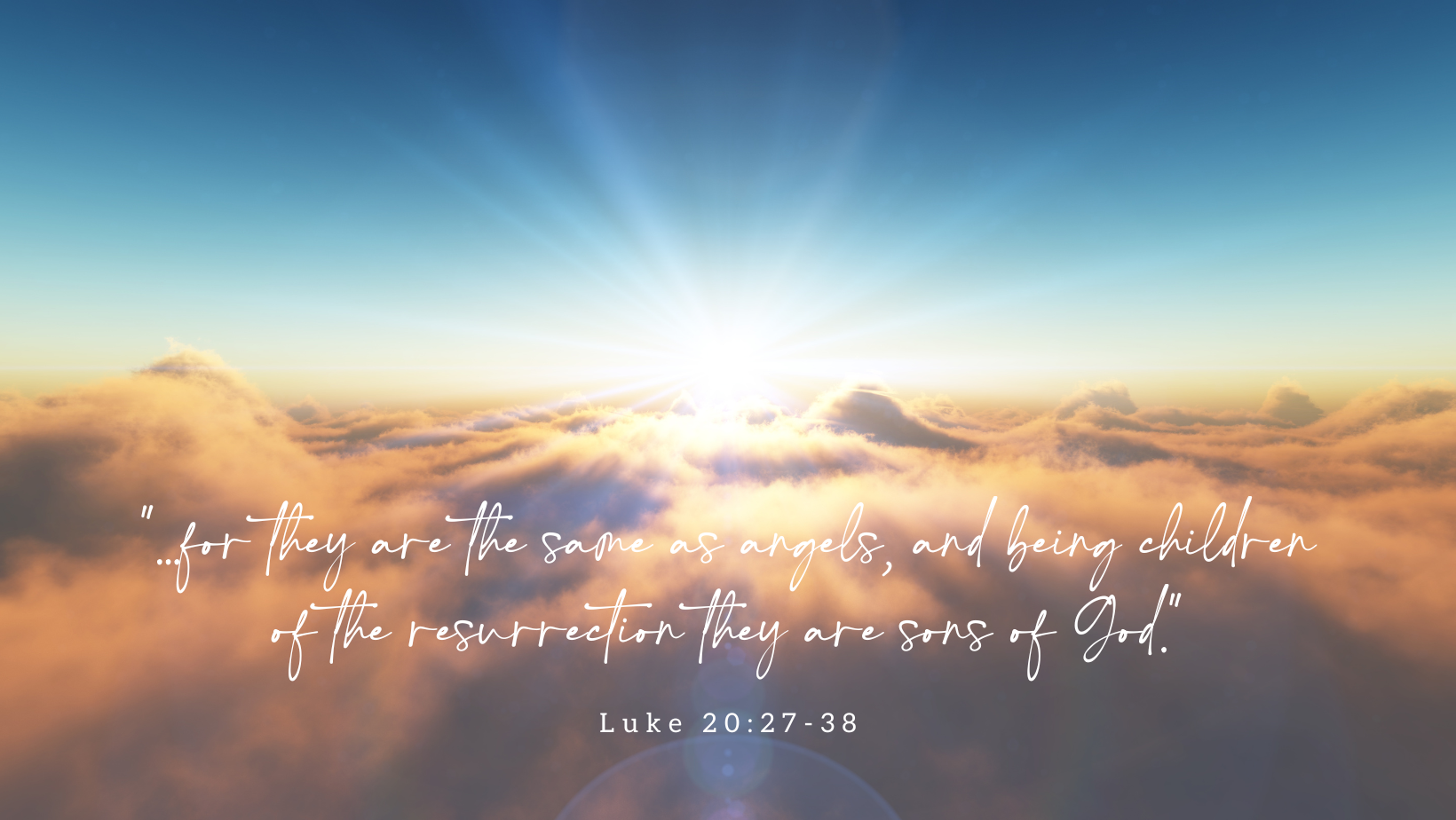 Resource for the 32nd Sunday in Ordinary Time, Year C — Oblate Youth ...