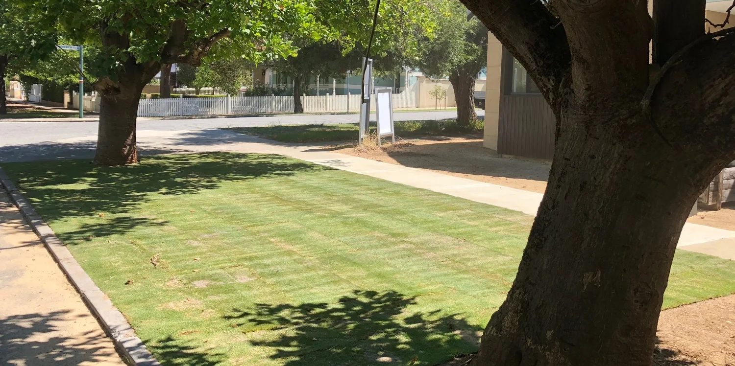Turf Farm | High quality Roll On Lawn | West Coast Turf