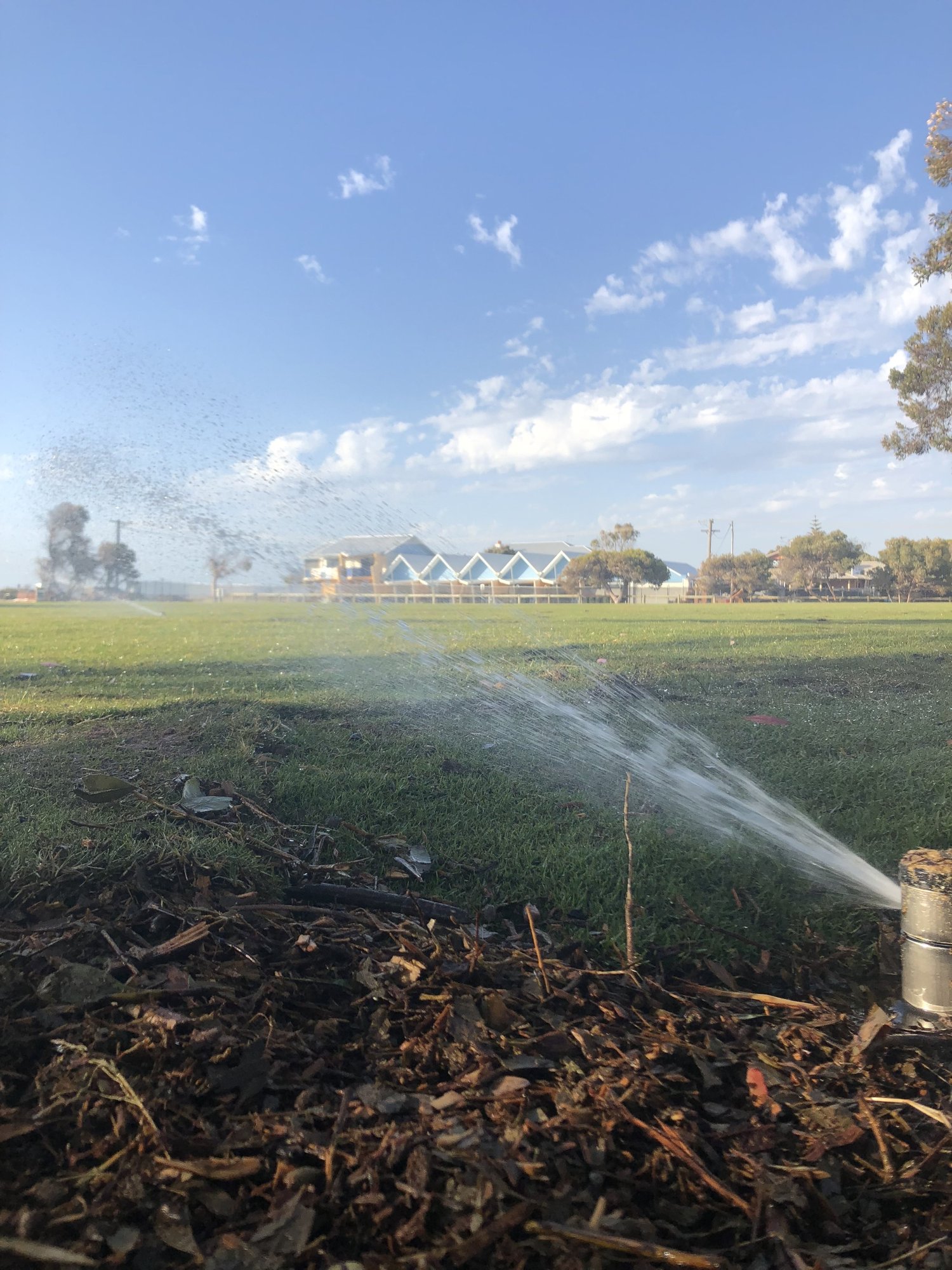 Lawn installation guide | How to install lawn | Soil Preparation | Turf ...