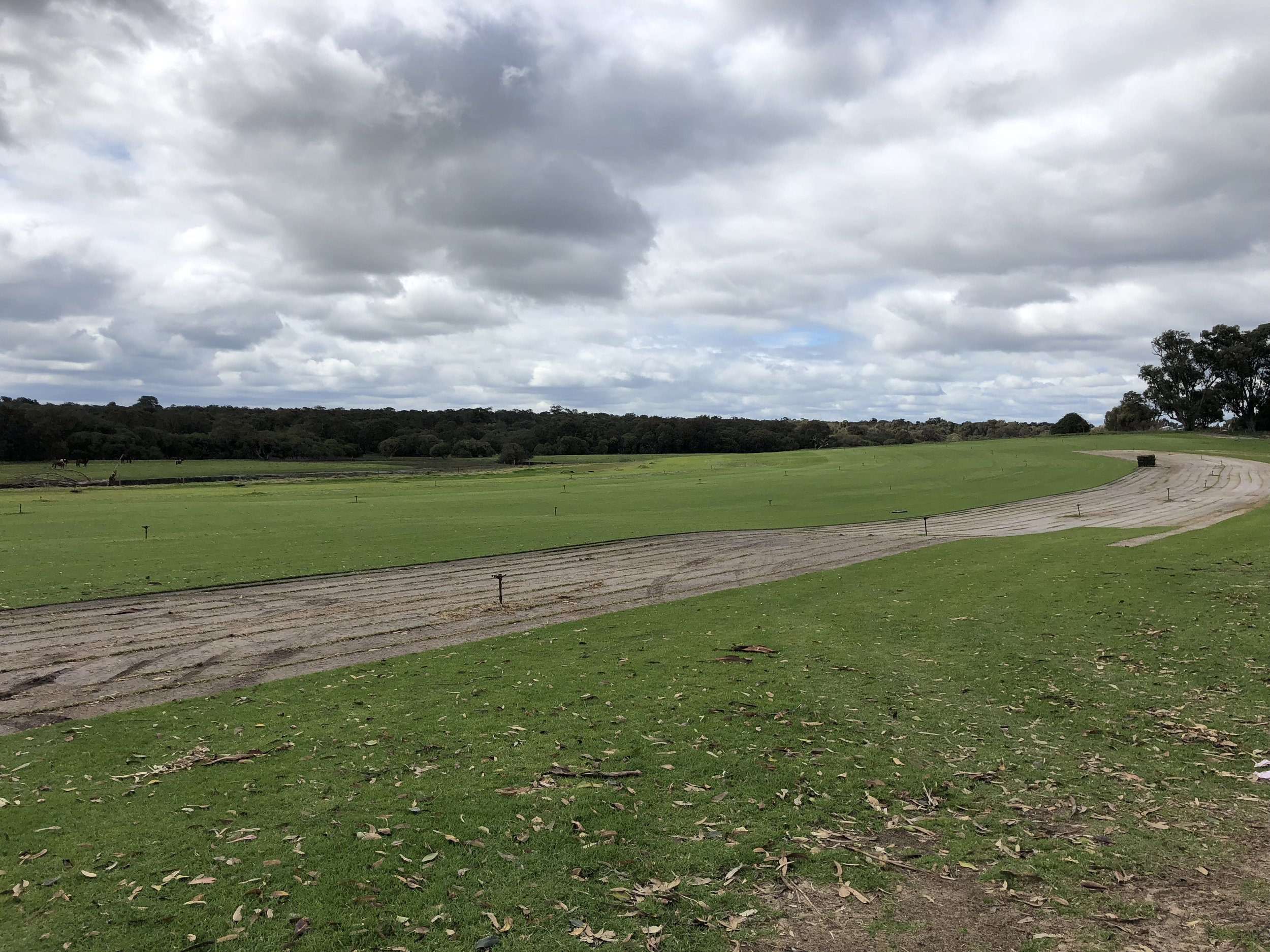 West Coast Turf: Turf Farm