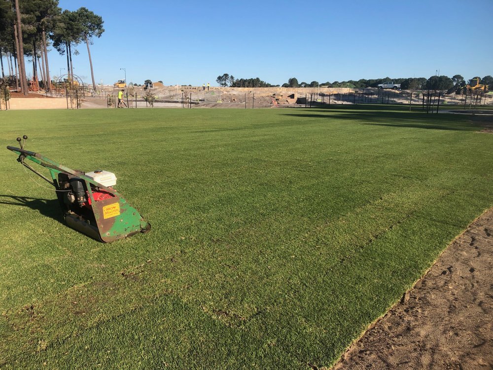 Roll on Lawn Installation | Turf Farm | Lawn Laying | Kikuyu | Buffalo