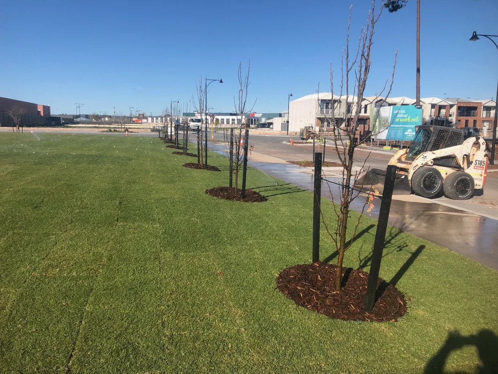 Roll on Lawn Installation | Turf Farm | Lawn Laying | Kikuyu | Buffalo