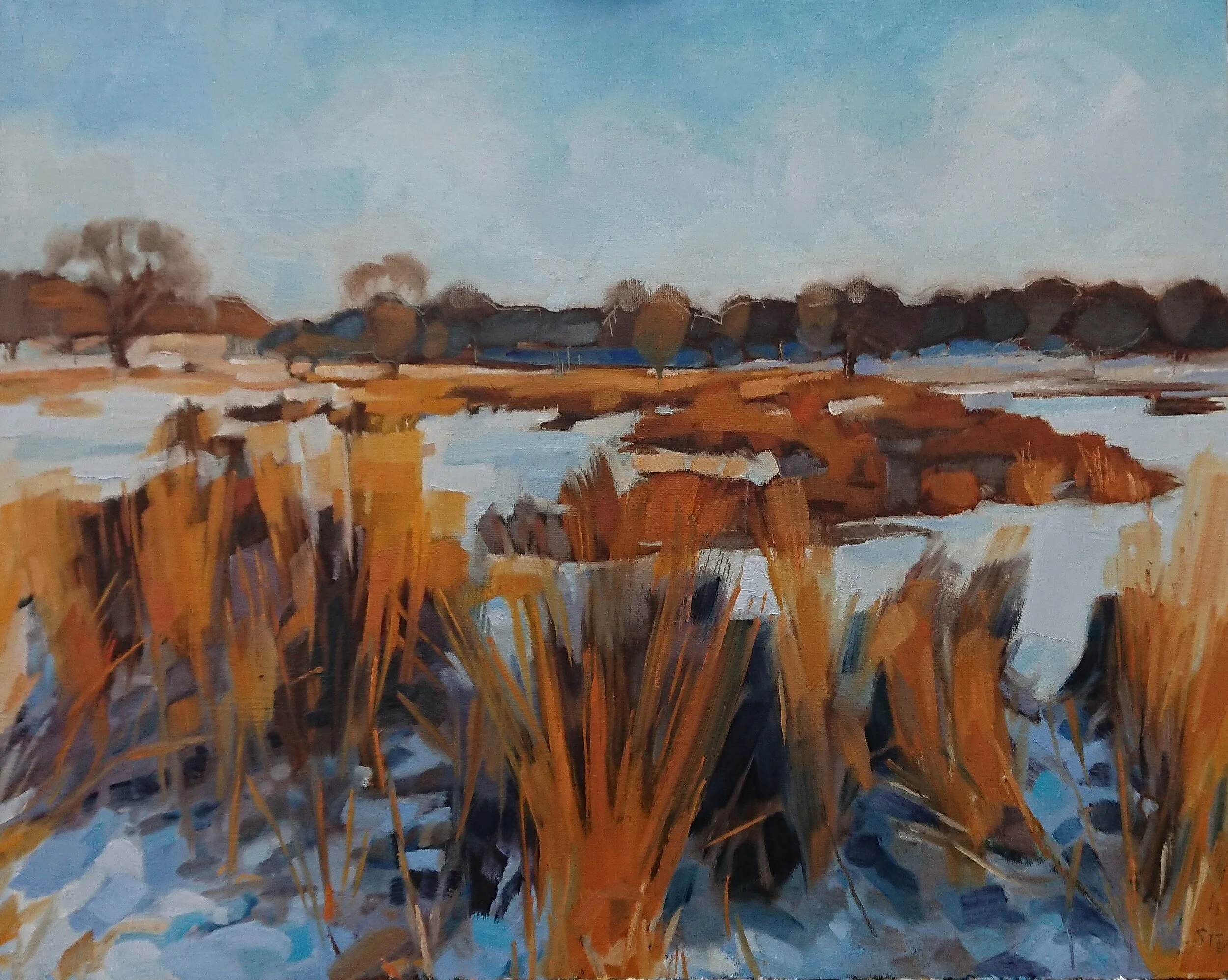 Sara Vertigan - Wimbledon Art Studios